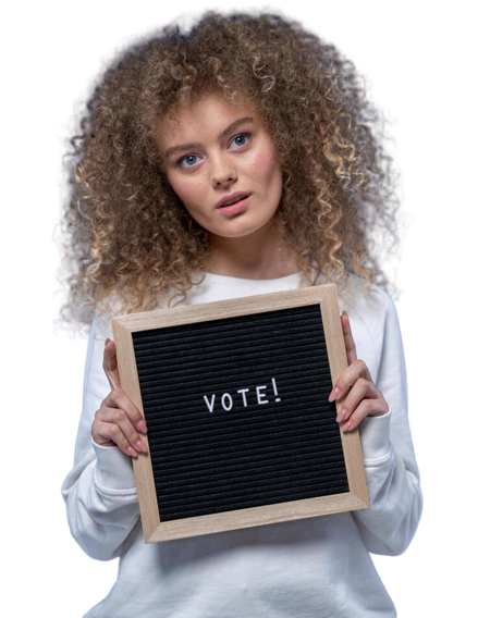 Online voting system